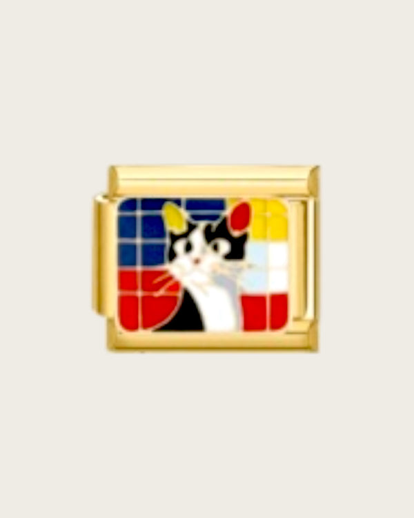 cat – terra